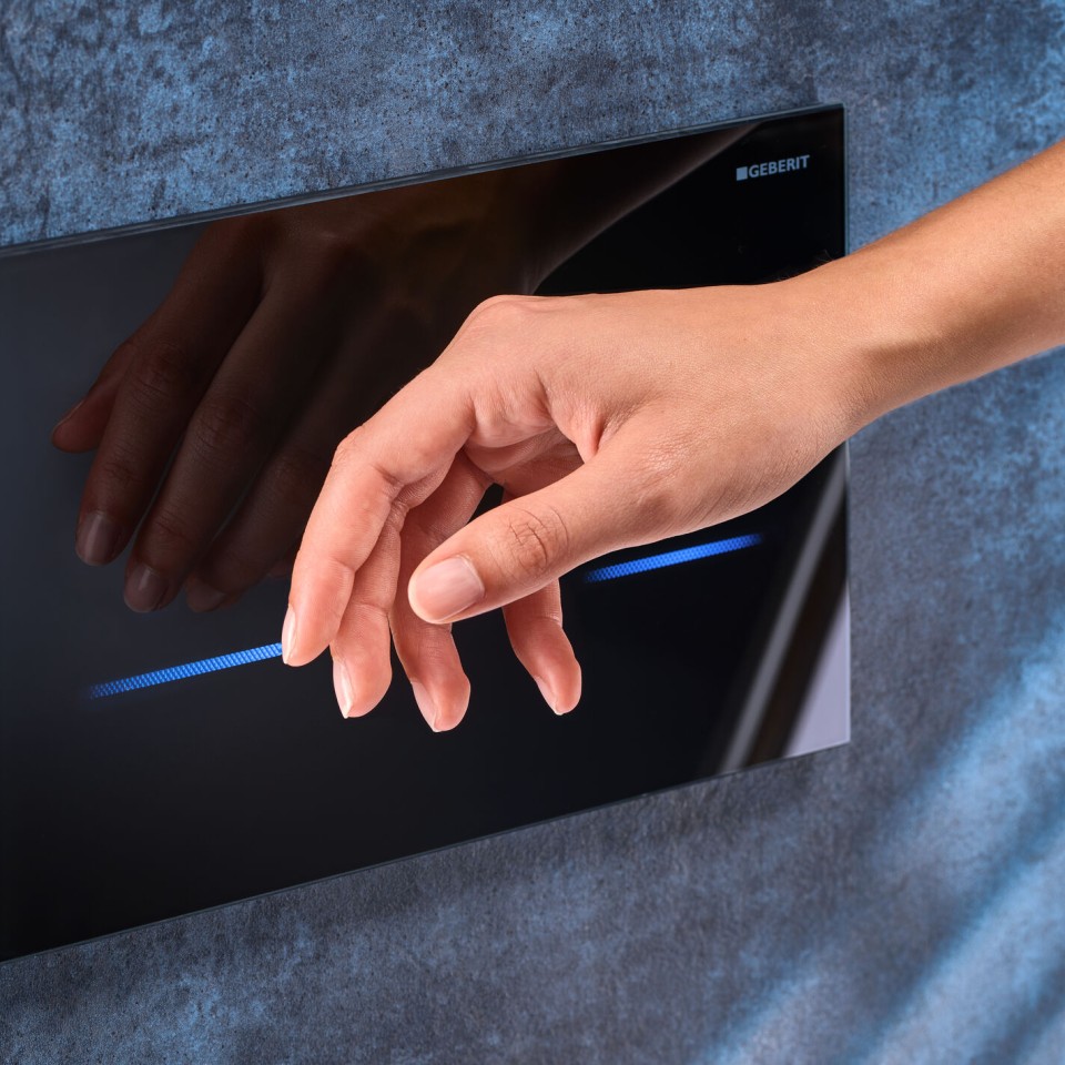 WCs and urinals | Geberit