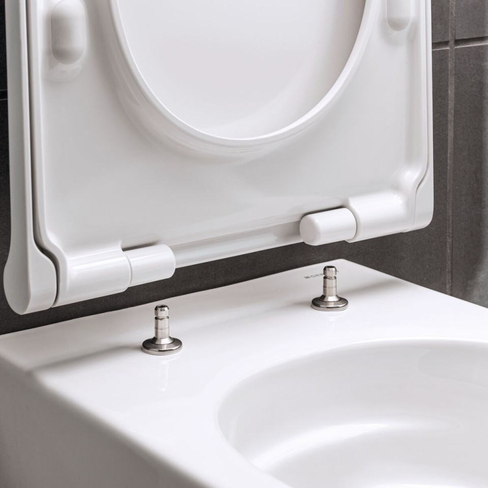Toilets and toilet seats | Geberit